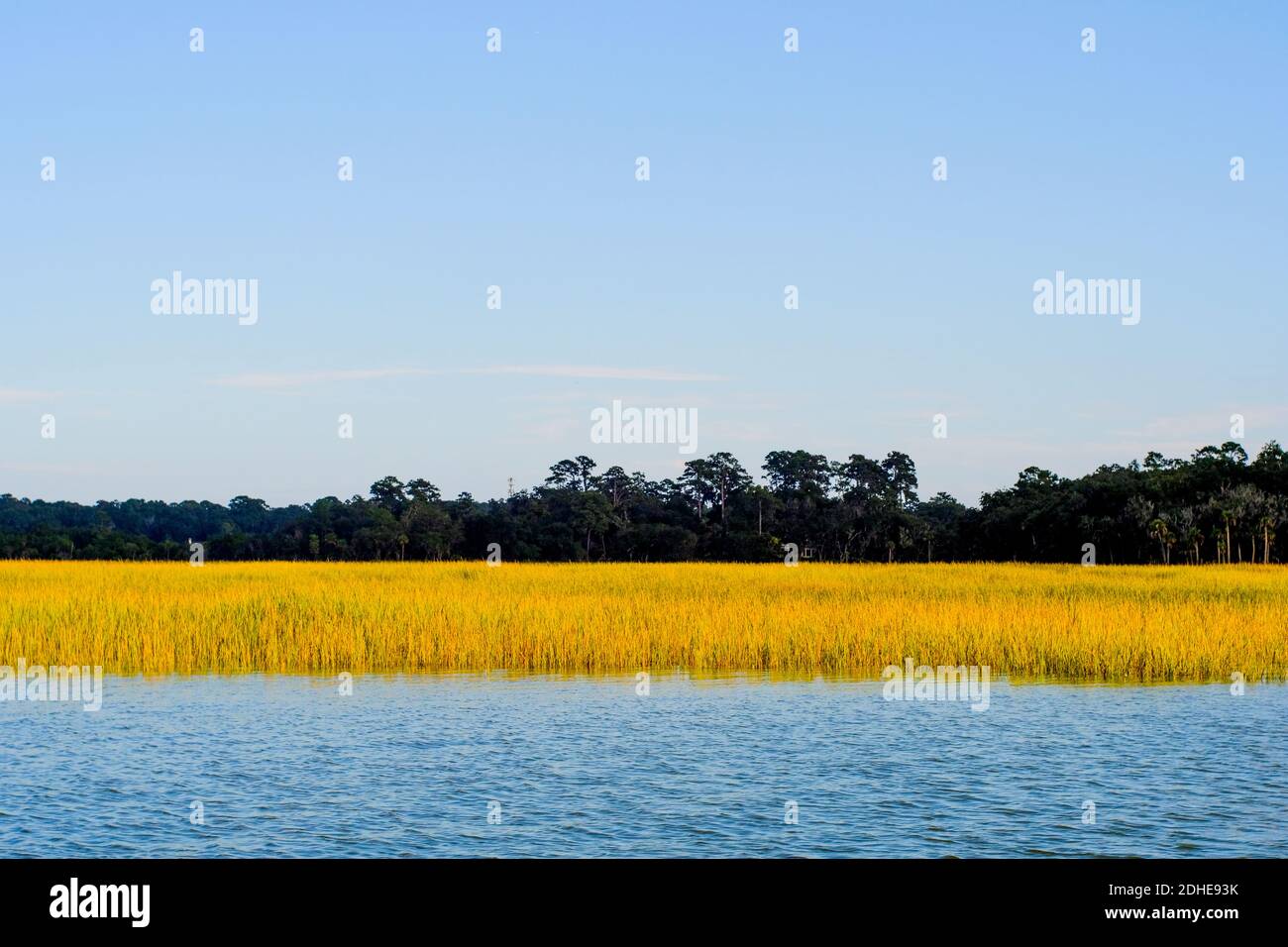 Lowcountry landscape hi-res stock photography and images - Alamy