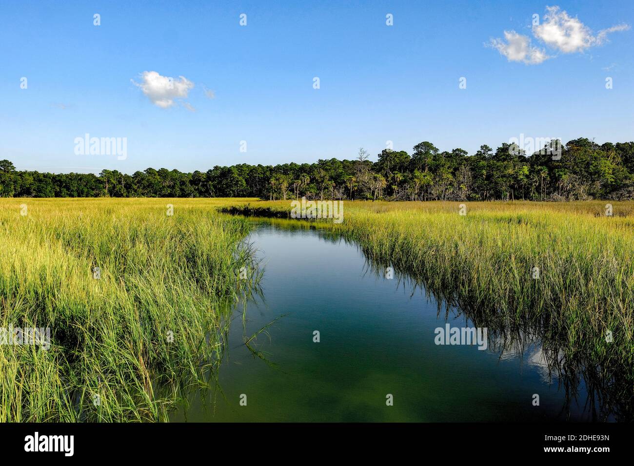 Coastal georgia marsh hi-res stock photography and images - Alamy