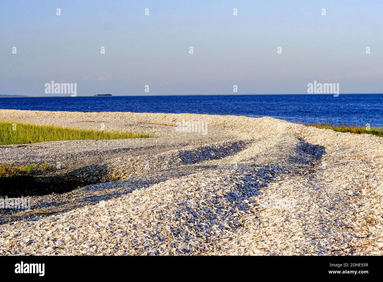 A shell rake island along the Georgia Coast Stock Photo - Alamy