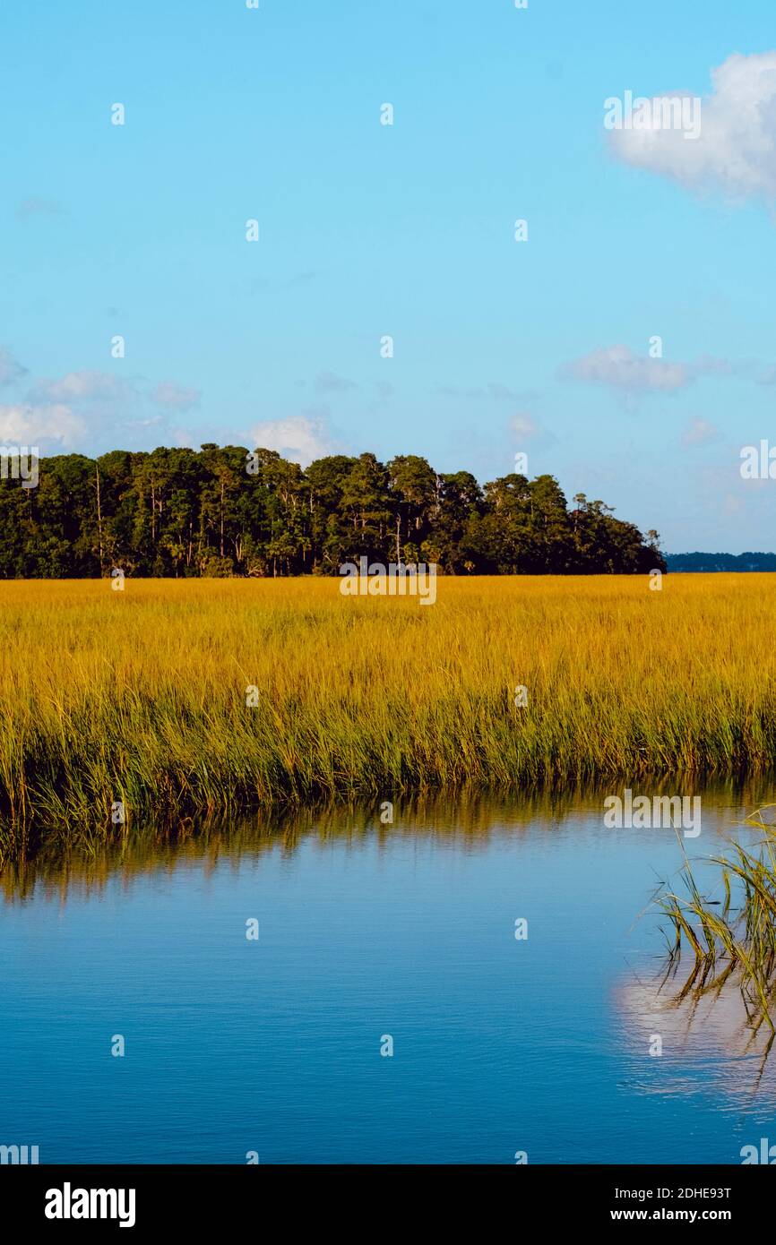 Lowcountry landscape hi-res stock photography and images - Alamy