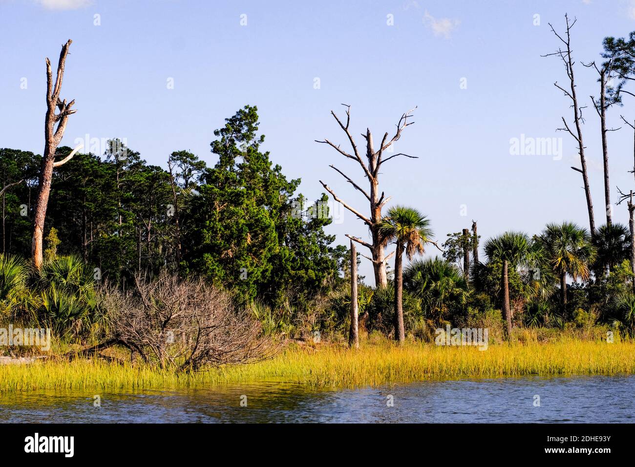 Lowcountry hi-res stock photography and images - Alamy