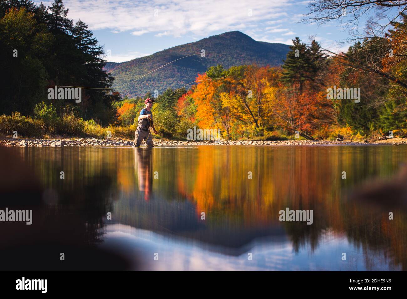 Fly-fisherman casting in river with foliage and reflections Stock Photo ...