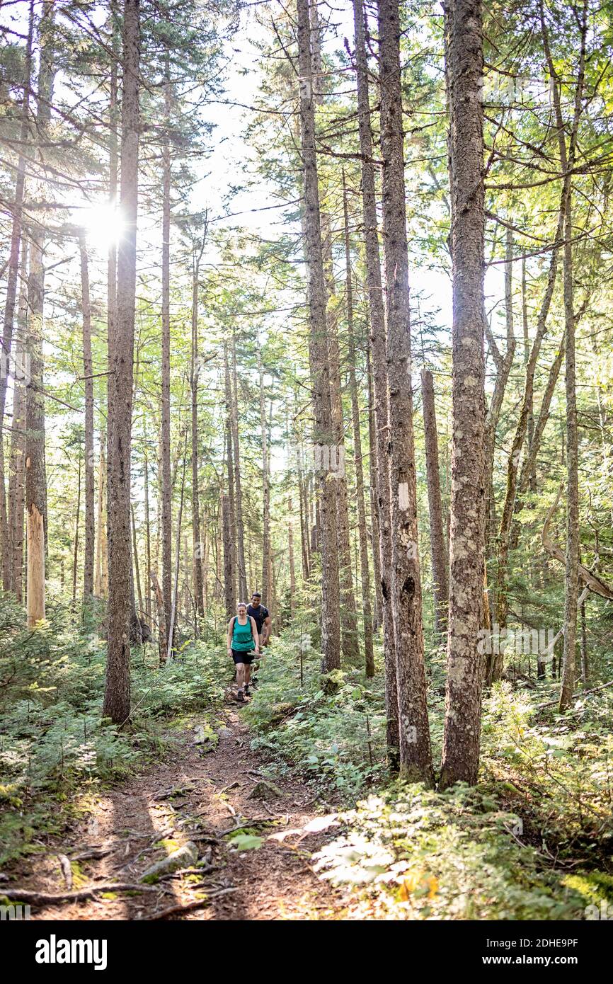 Young couple hiking through moss hi-res stock photography and images ...