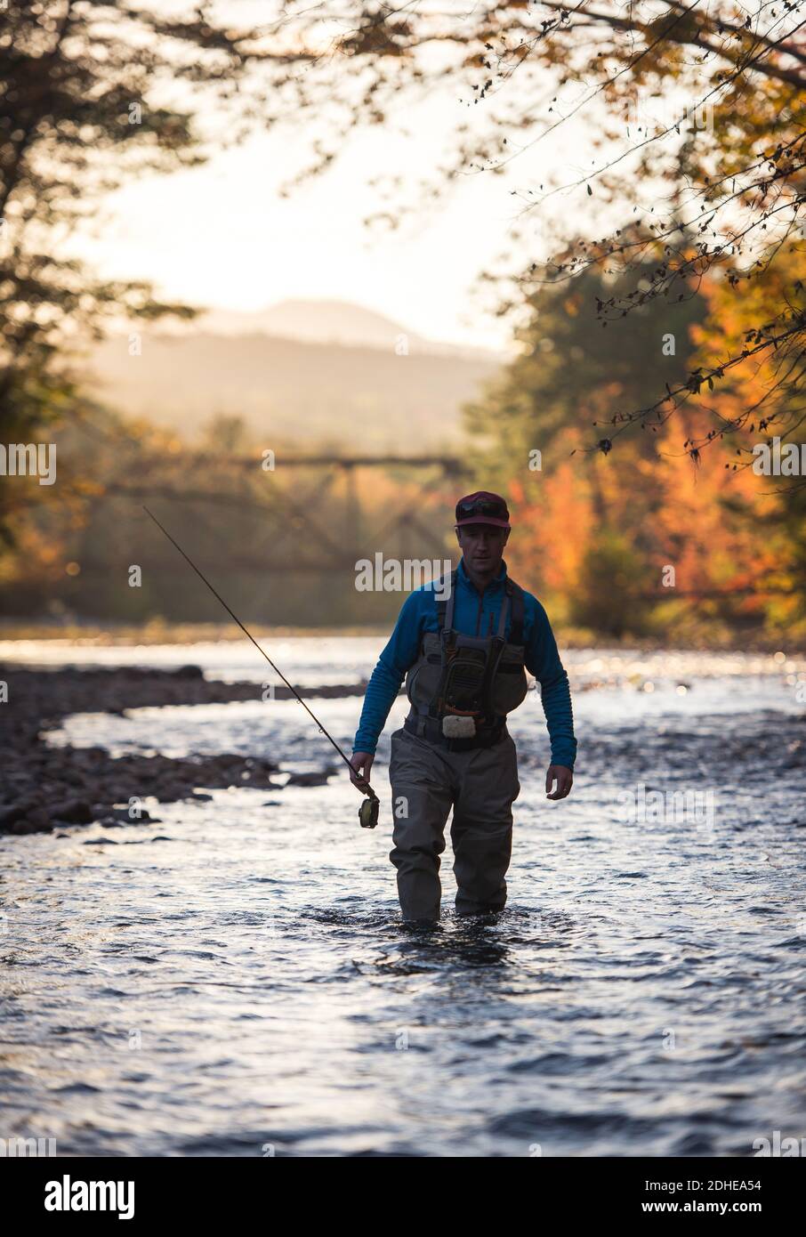 Fly-fisherman wading through river at sunset during foliage season ...