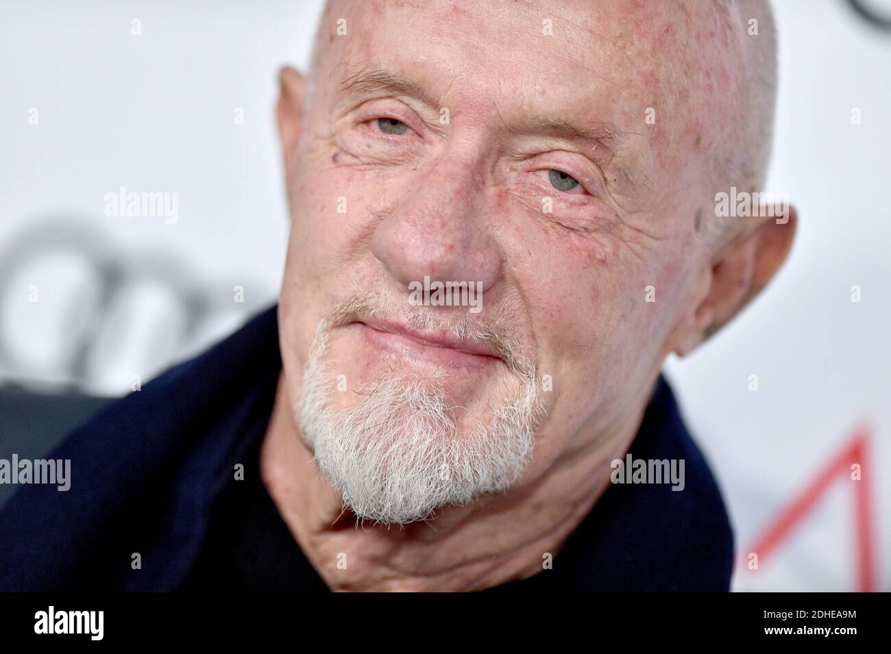 Jonathan Banks attends the screening of Netflix's 'Mudbound' at the ...