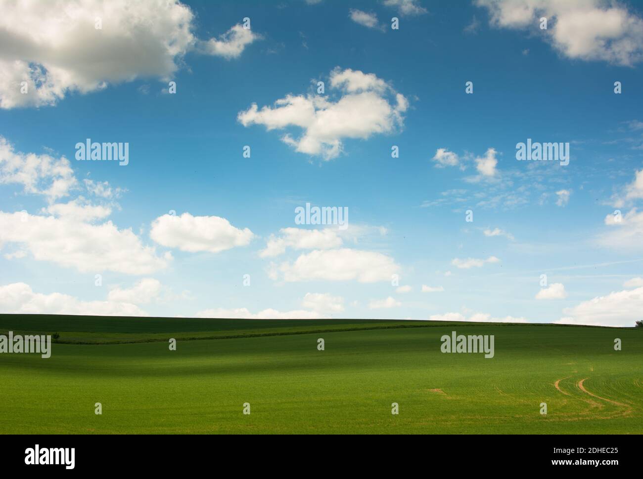 Green field with blue sky Stock Photo - Alamy