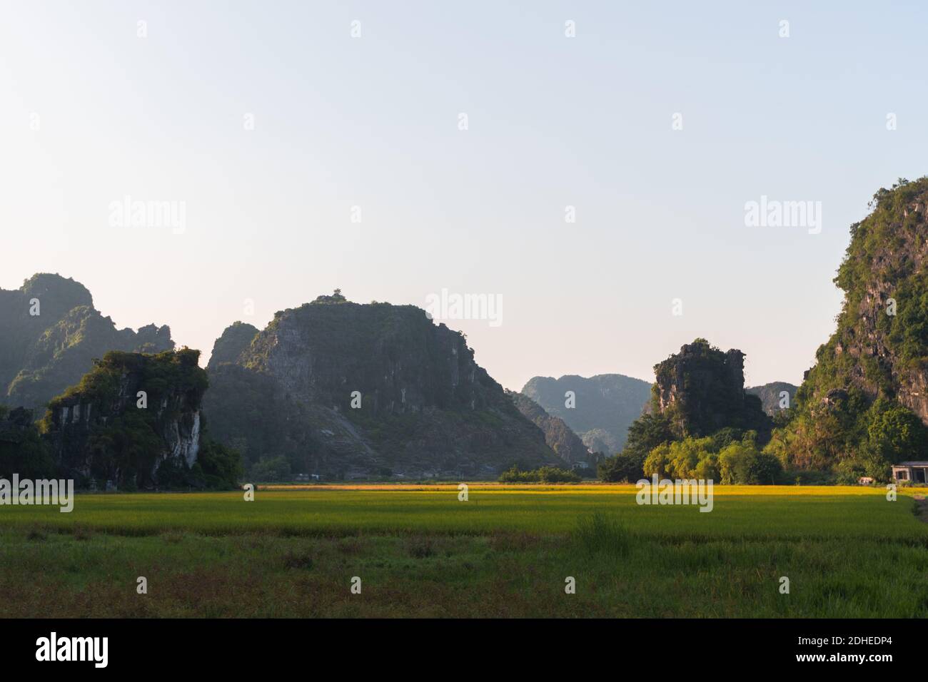 A beautiful shot of the limestone rocks behind rice terraces and fields ...