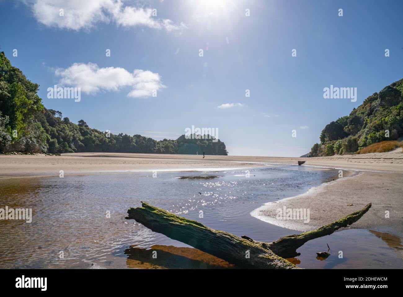 Shallow stream with old log across low tide beach looking into sun in ...