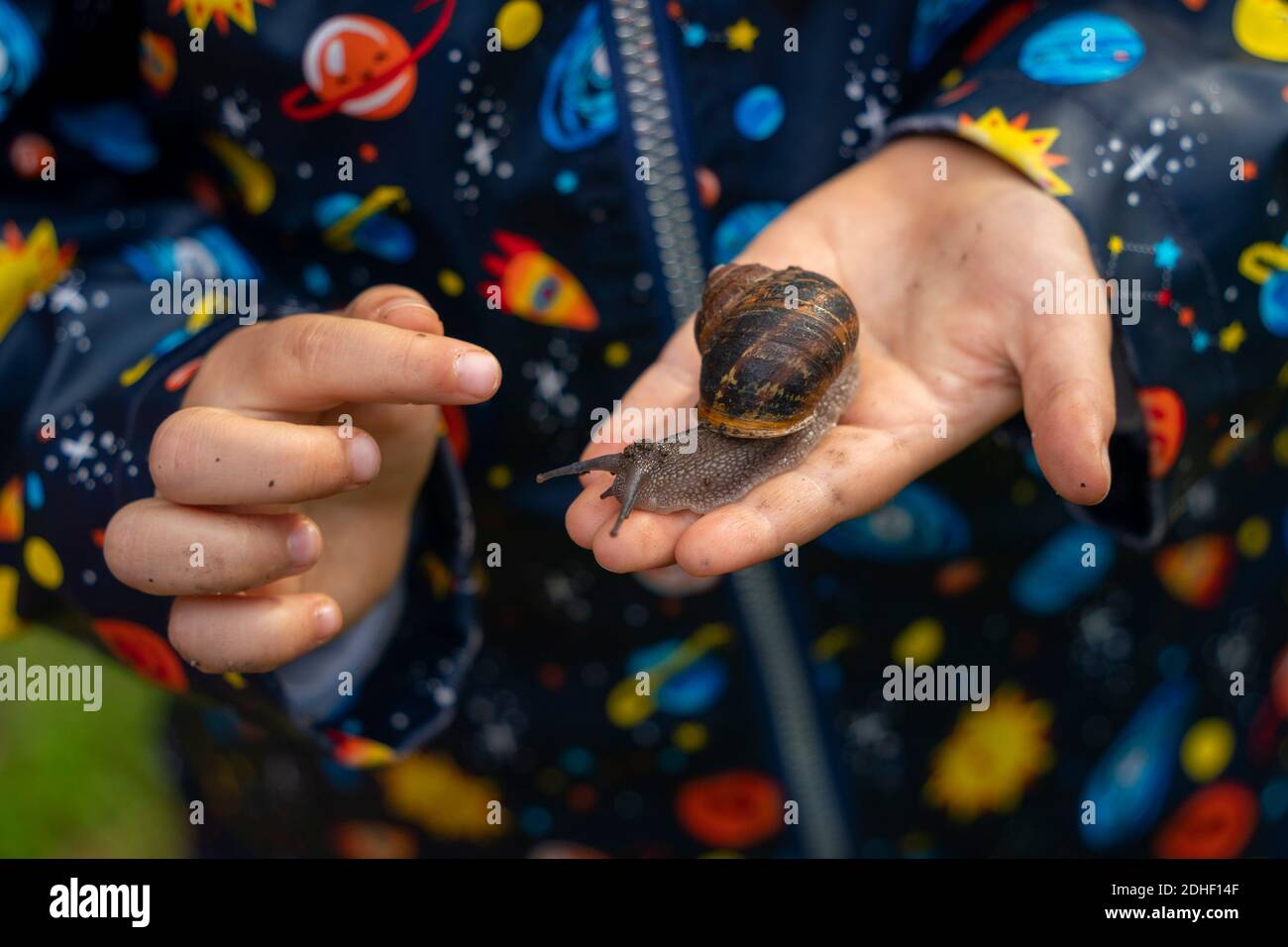 Young child holding a snail in palms of hands Stock Photo - Alamy