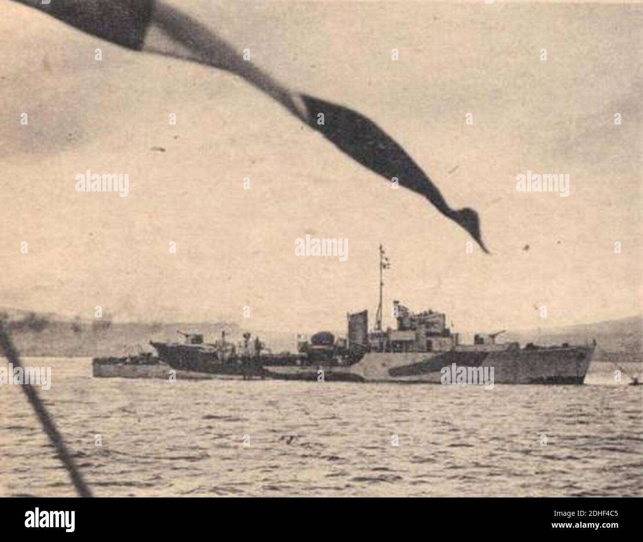 La combattante hi-res stock photography and images - Alamy