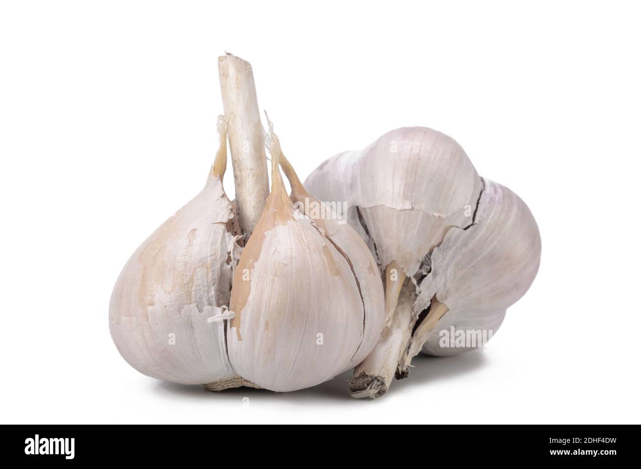 Farming garlic Cut Out Stock Images & Pictures - Alamy