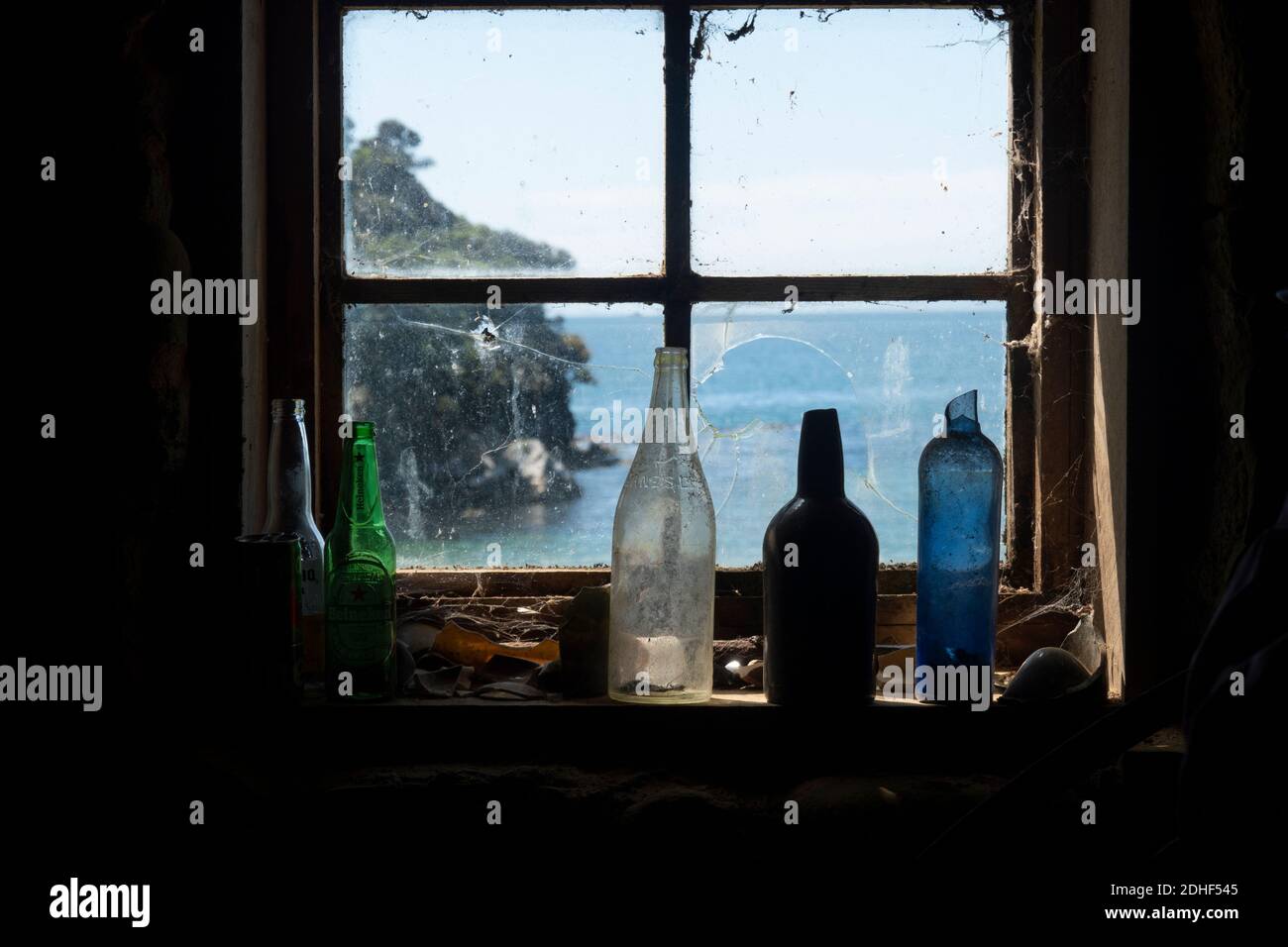 Old bottles standing on window sill of multi-paned window with view ...