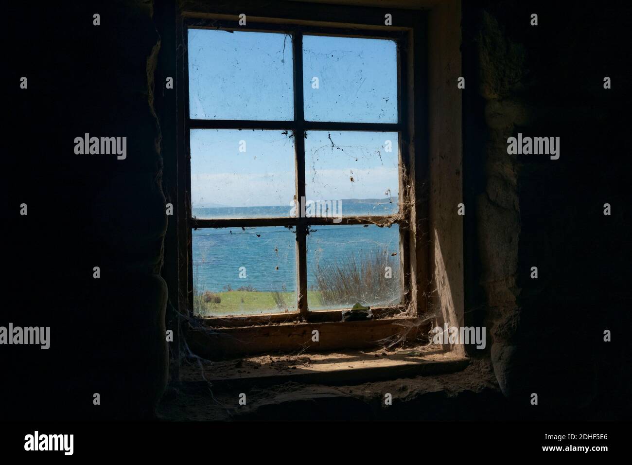 Sea widow hi-res stock photography and images - Alamy