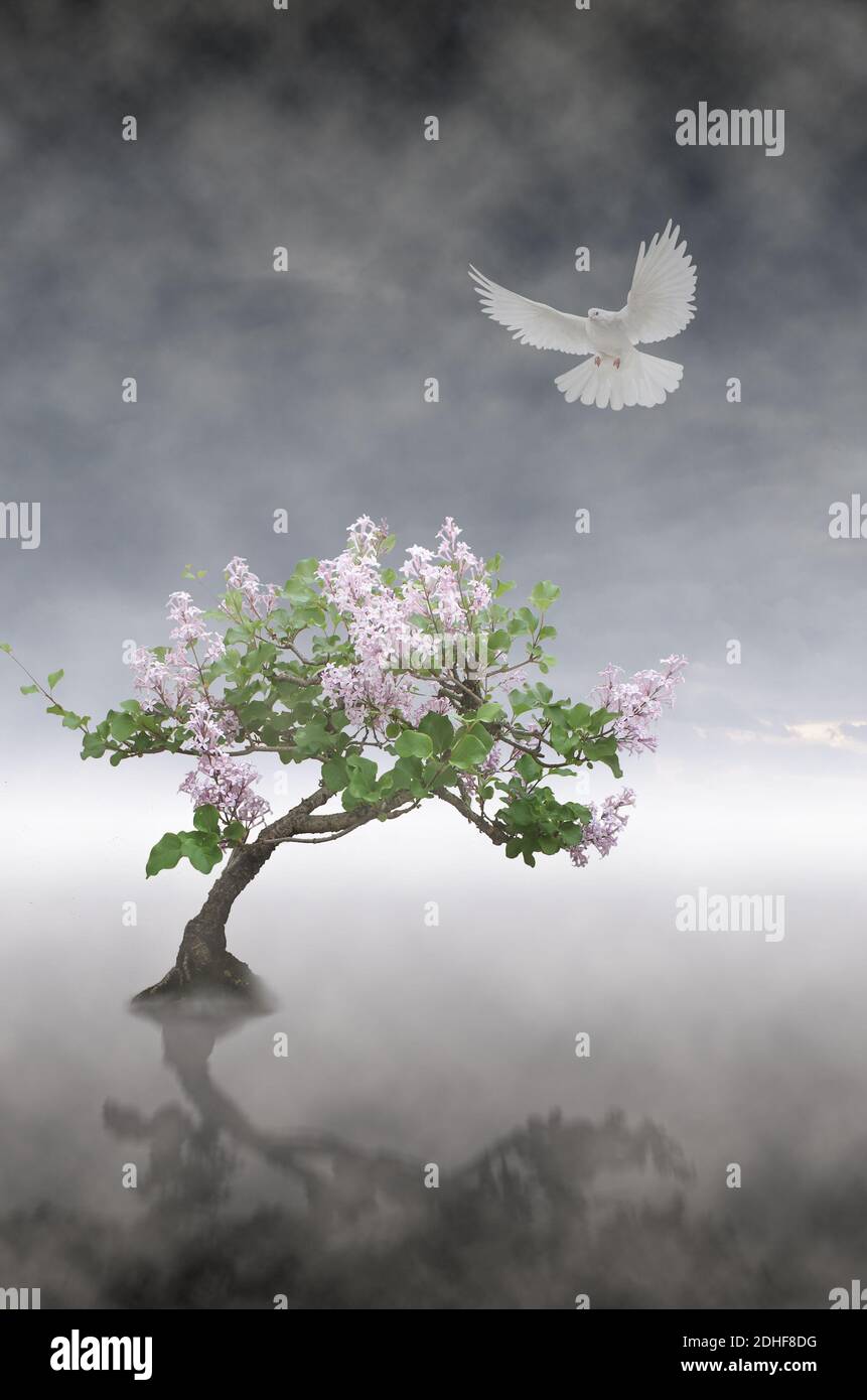 At equilibrium hi-res stock photography and images - Alamy