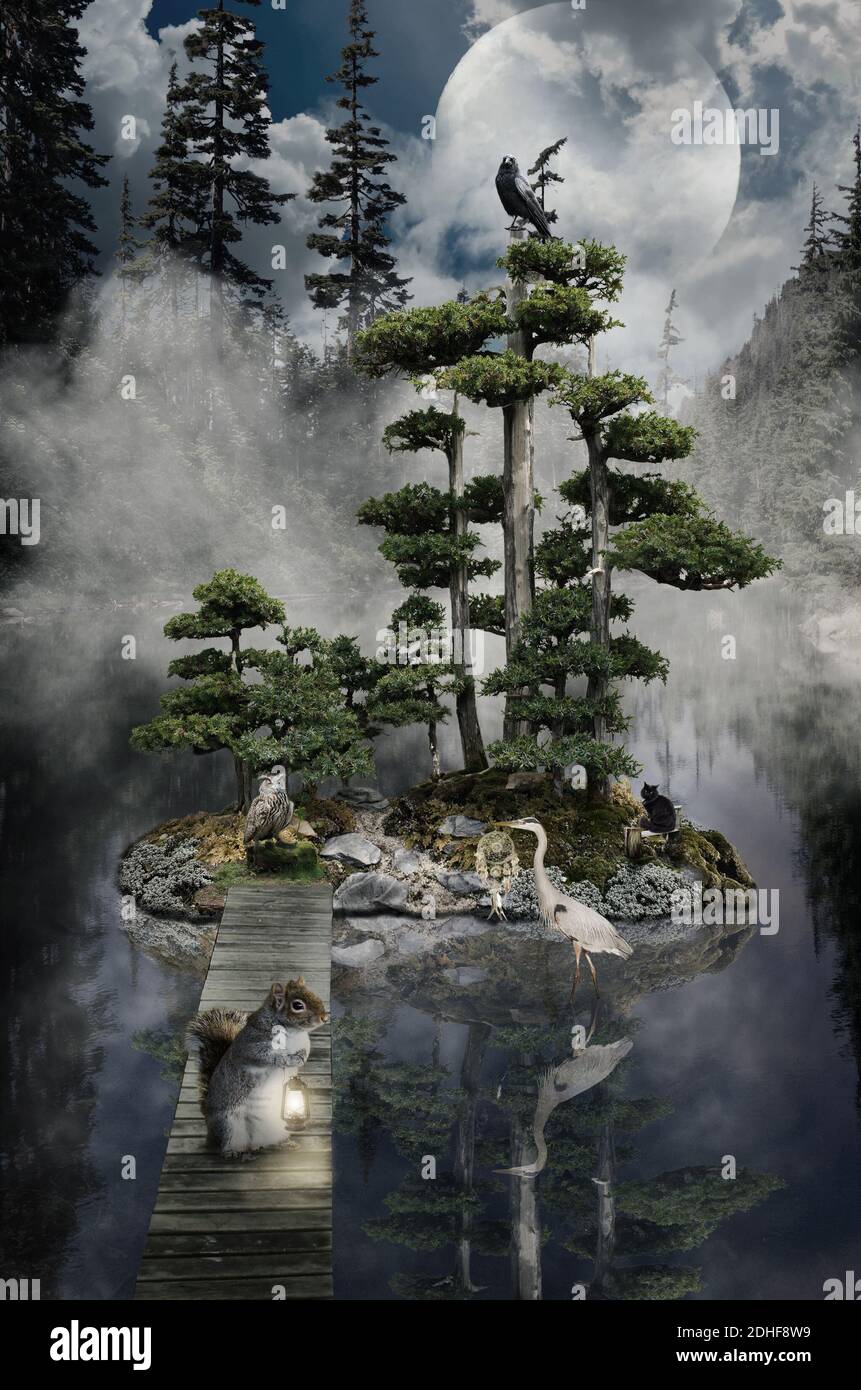 Island of Dreams Stock Photo - Alamy