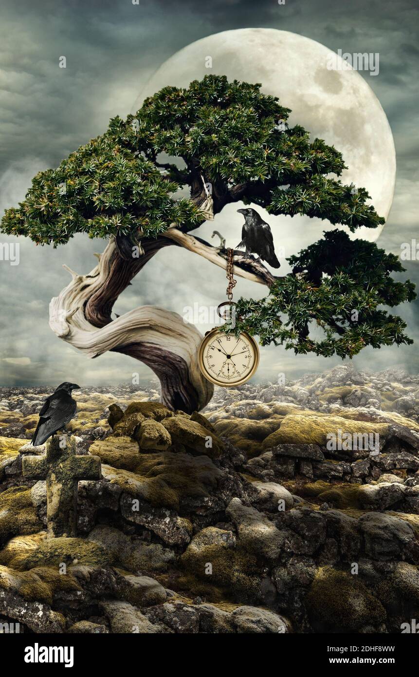 Time scarcity hi-res stock photography and images - Alamy