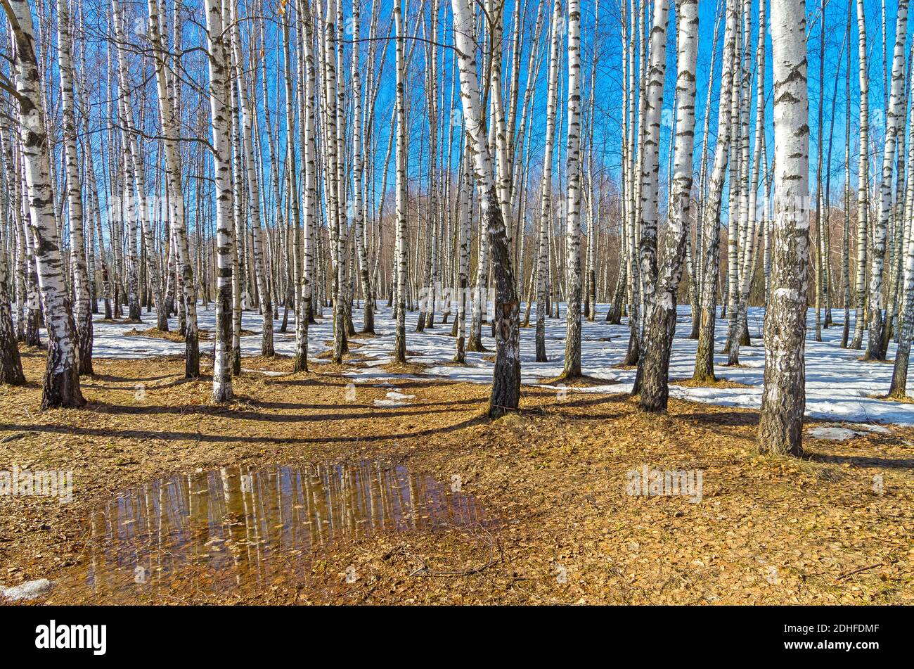 Puddle at the edge hi-res stock photography and images - Alamy
