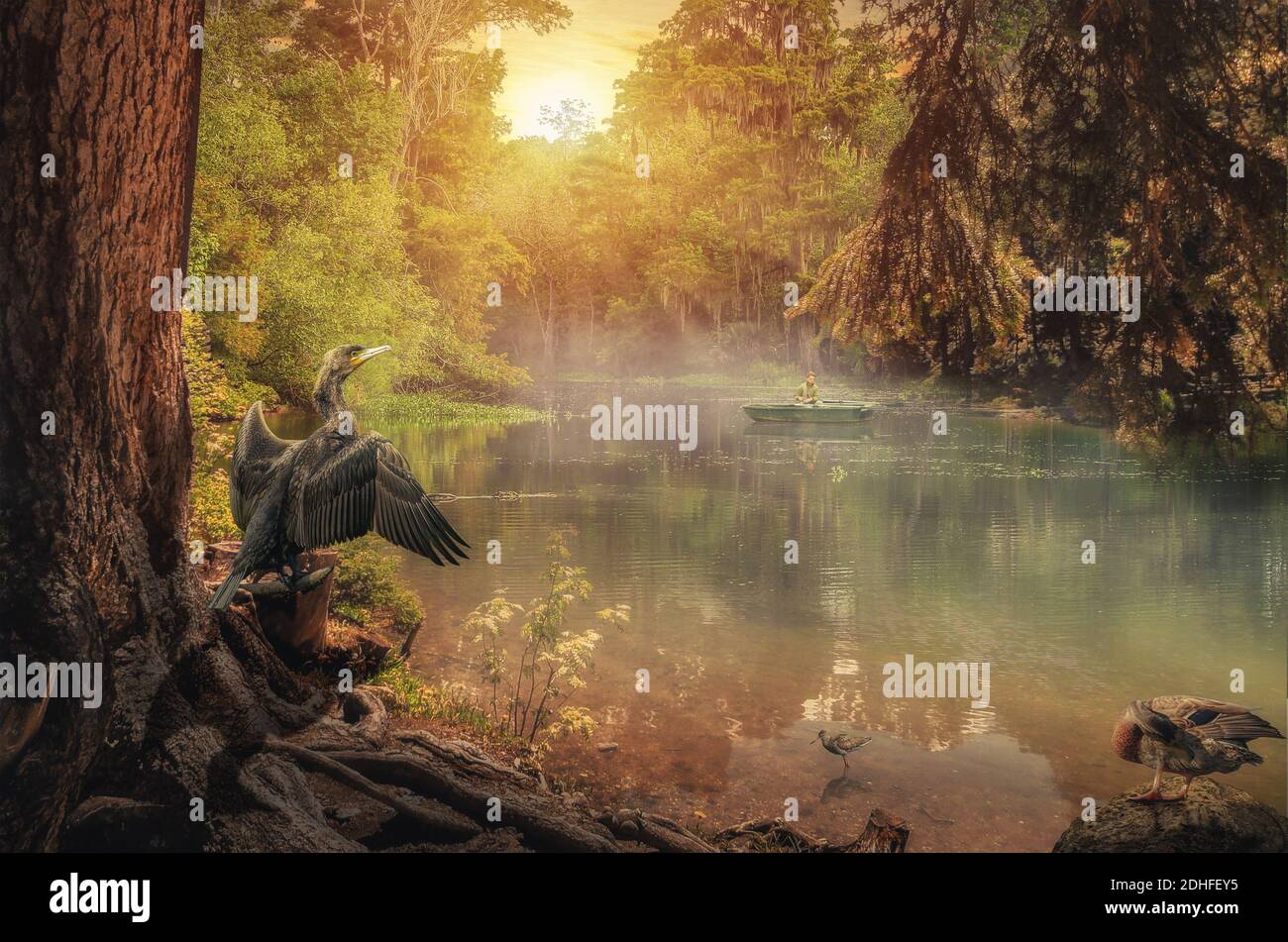 Fog catcher hi-res stock photography and images - Alamy