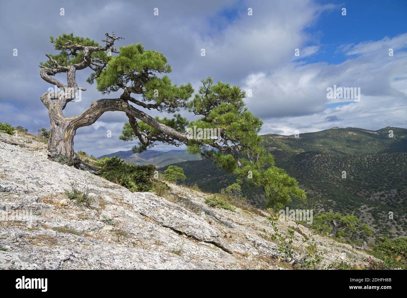 Relict hi-res stock photography and images - Alamy