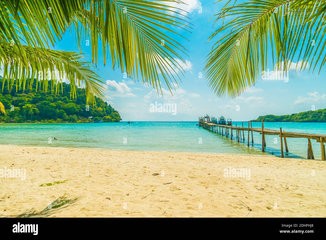 Beautiful tropical beach and sea with coconut palm tree in paradise ...