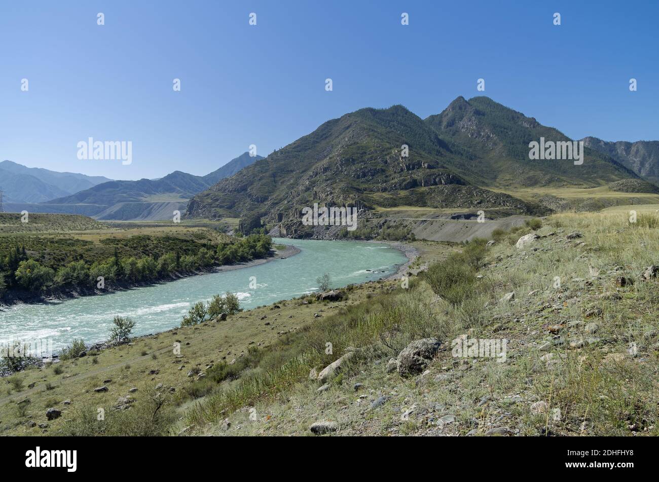 Altai mountains beautiful river katun hi-res stock photography and ...