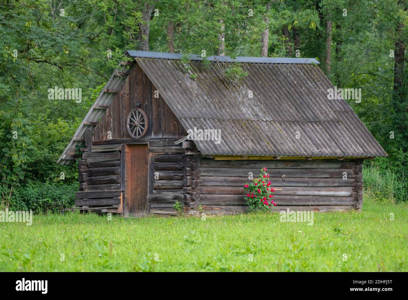 A small hut in the forest Stock Photo - Alamy