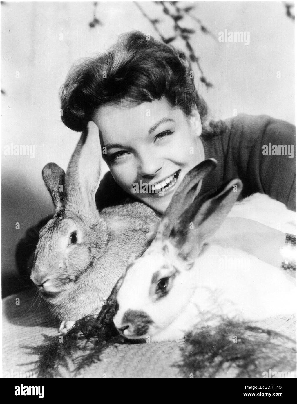 1955 , AUSTRIA : The movie actress ROMY SCHNEIDER ( 1938 - 1982 ...