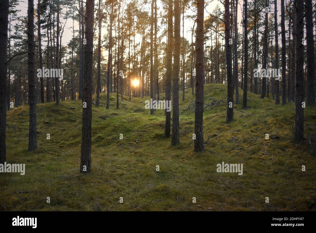 Baltic travel destination hi-res stock photography and images - Alamy