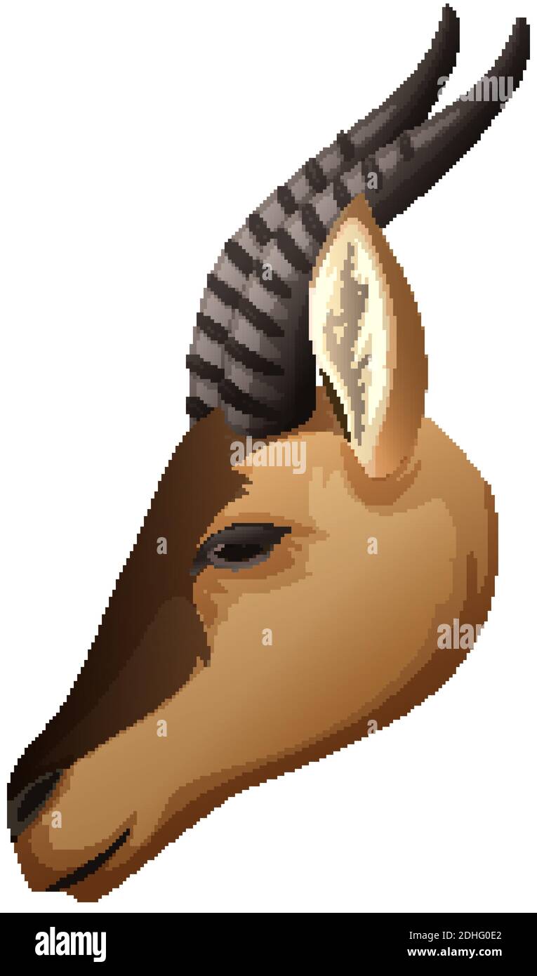 Topi head on white background illustration Stock Vector Image & Art - Alamy