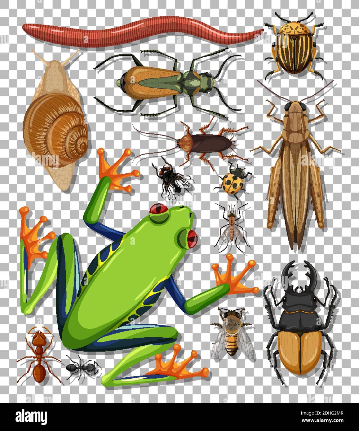 Set of different insects on transparent background illustration Stock ...