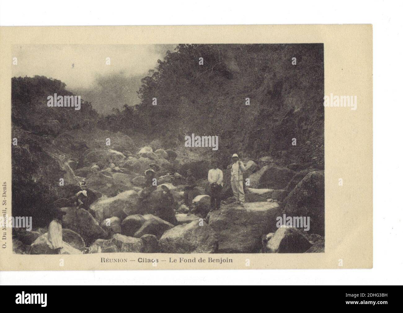 La Reunion le fond de Benjoin Stock Photo - Alamy