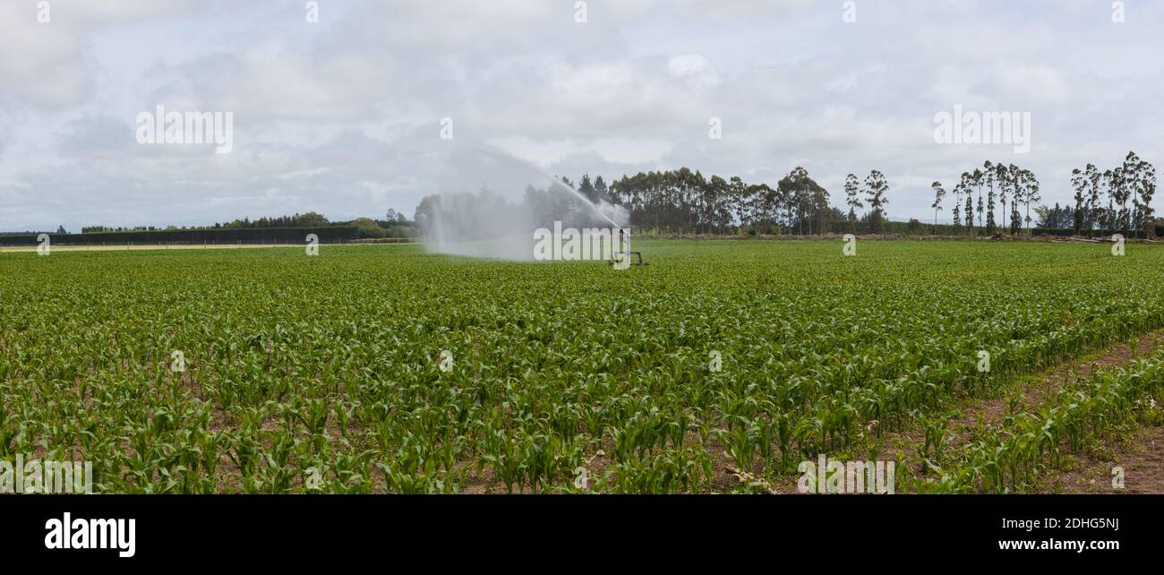 Primary industry hi-res stock photography and images - Alamy
