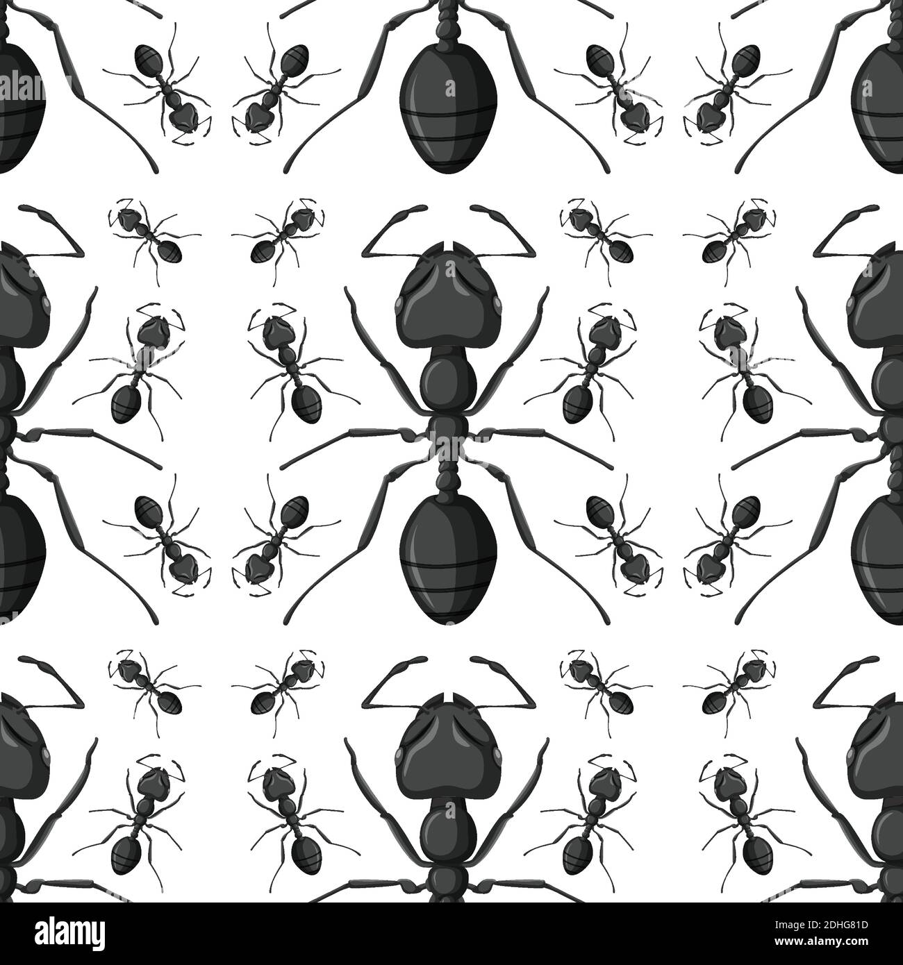 Black ant seamless background illustration Stock Vector Image & Art - Alamy