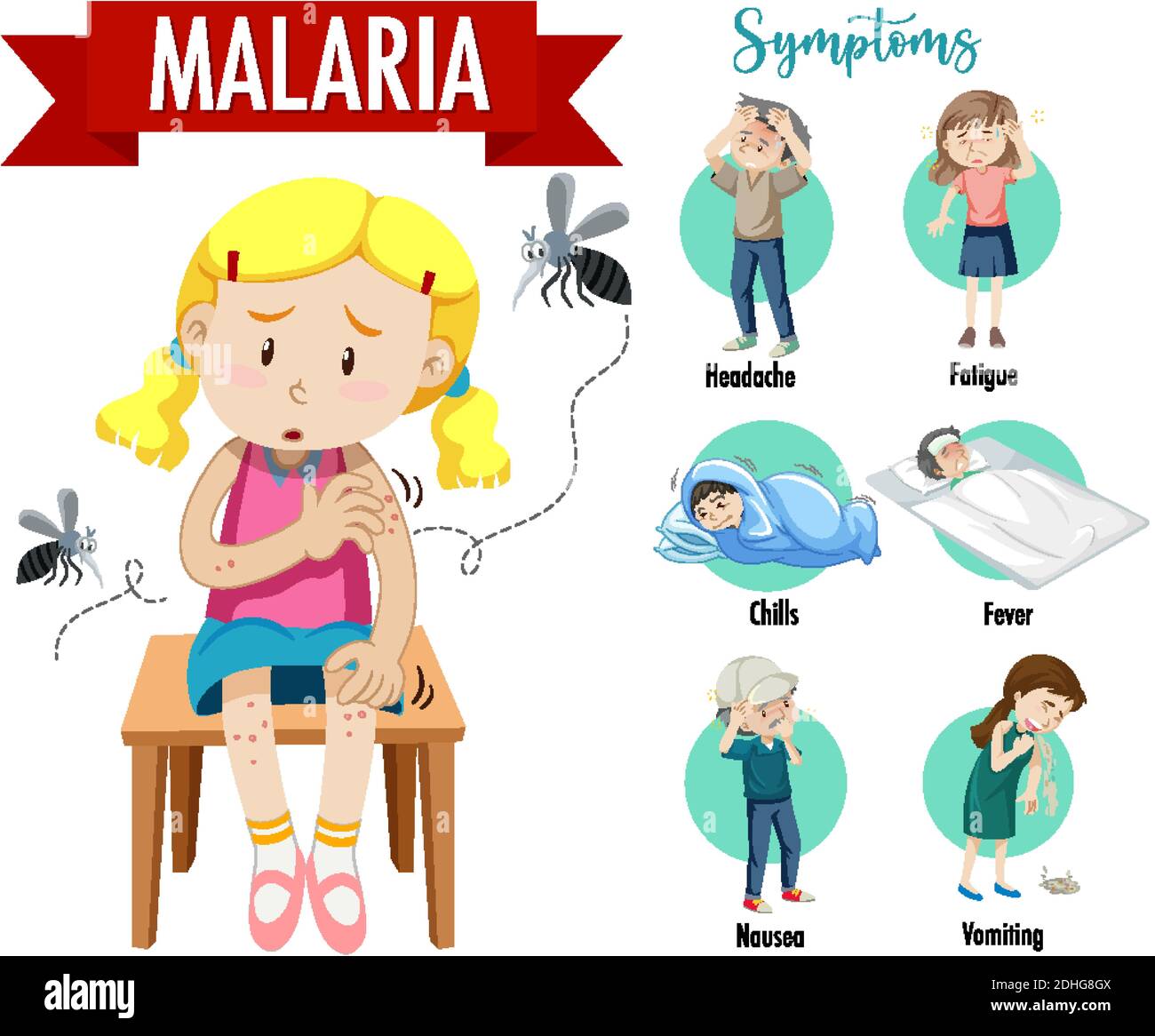 Malaria symptom information infographic illustration Stock Vector Image ...