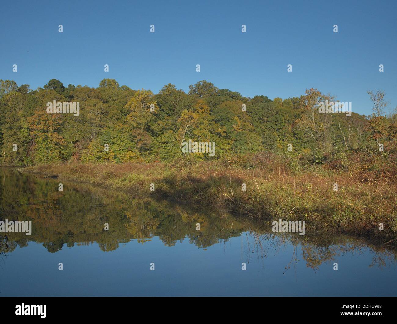 fall trees on shoreline reflecting in water Stock Photo - Alamy