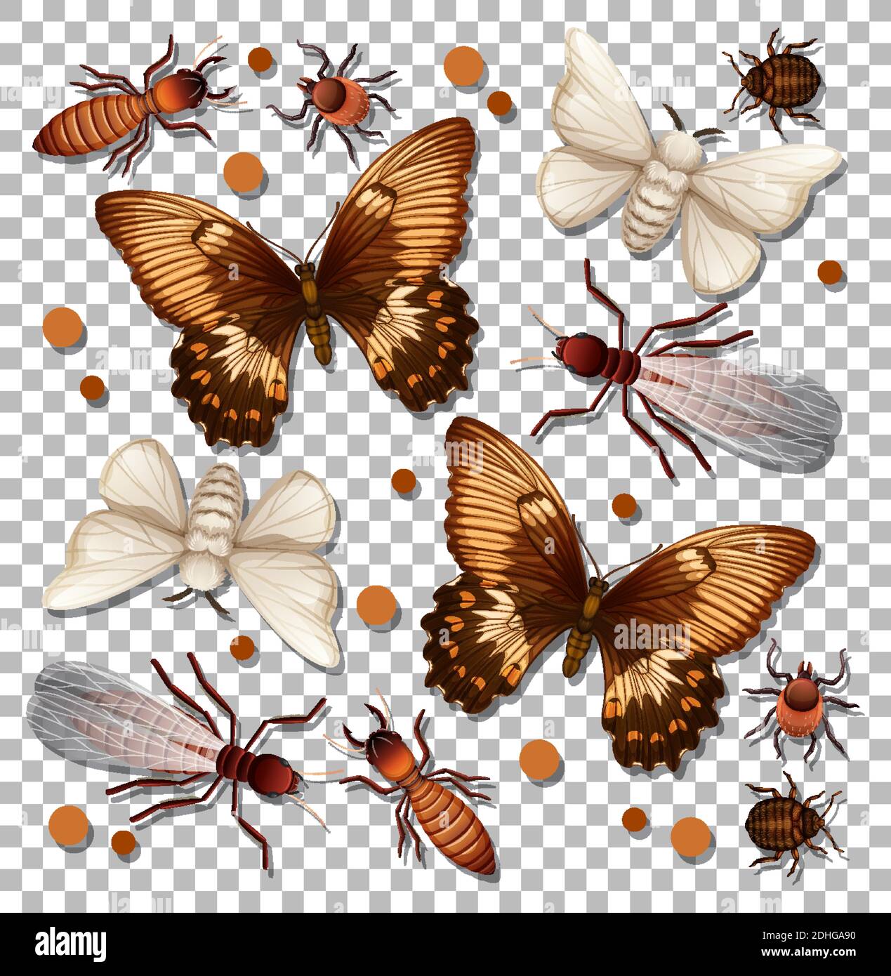 Set of different insects on transparent background illustration Stock ...