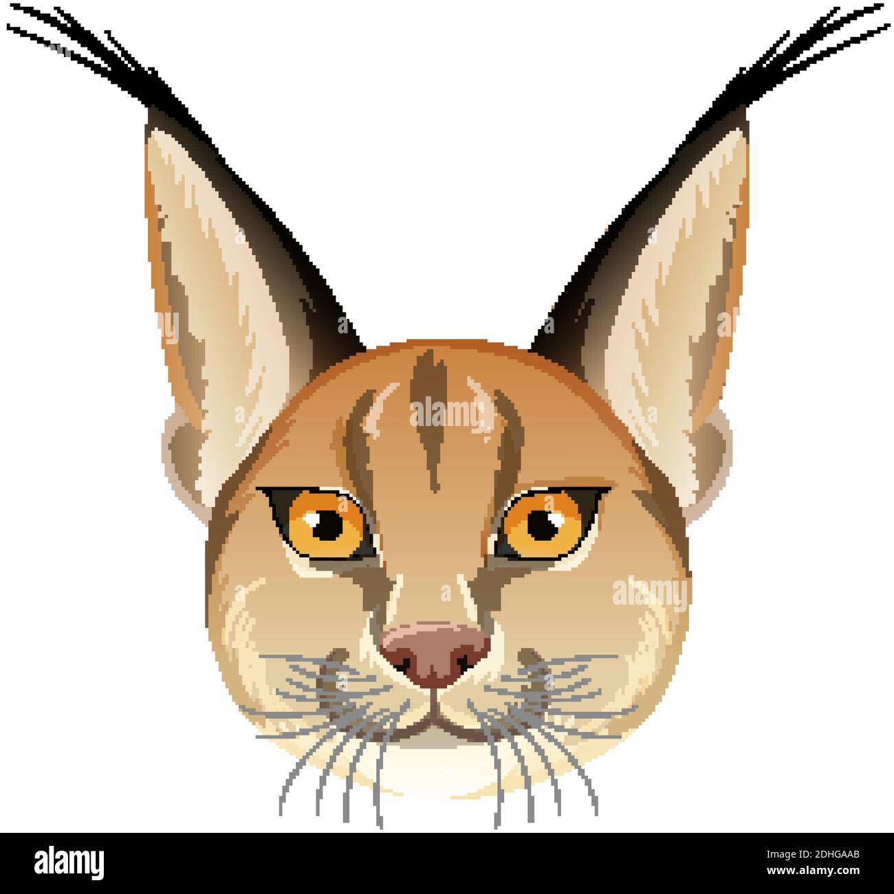 Caracal cat head on white background illustration Stock Vector Image ...
