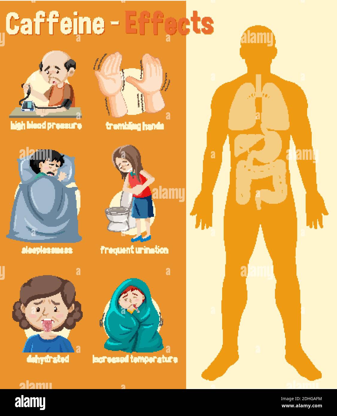 Health effects of Caffeine Infographic illustration Stock Vector Image ...