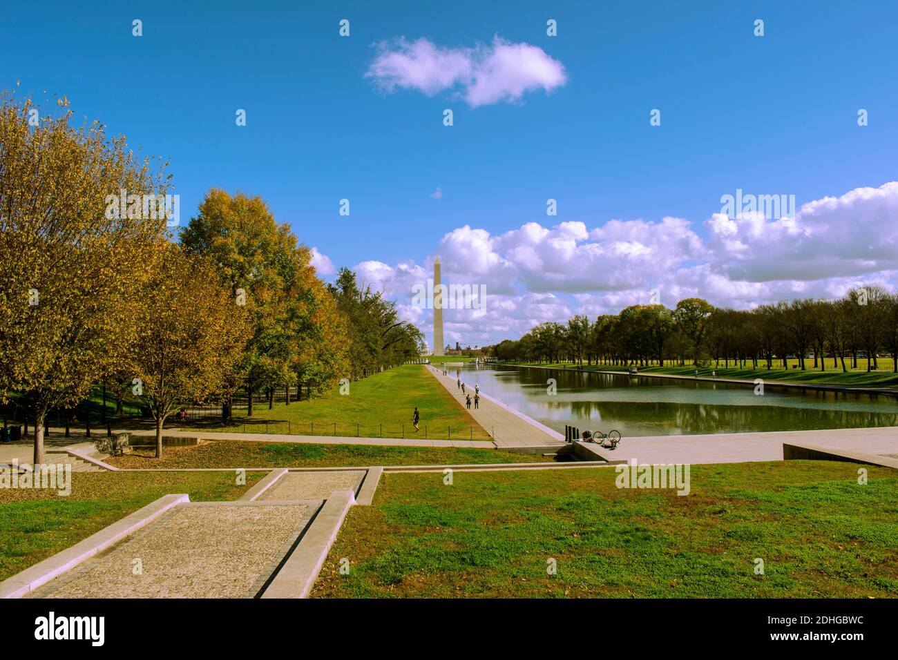view of a beautiful garden full of trees with mixed green and autumn ...