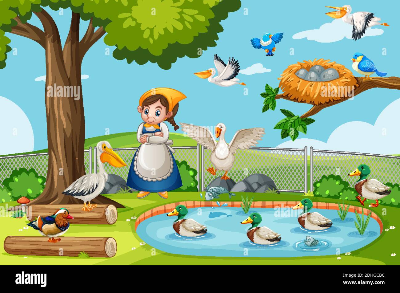 Nature Scenes With Birds