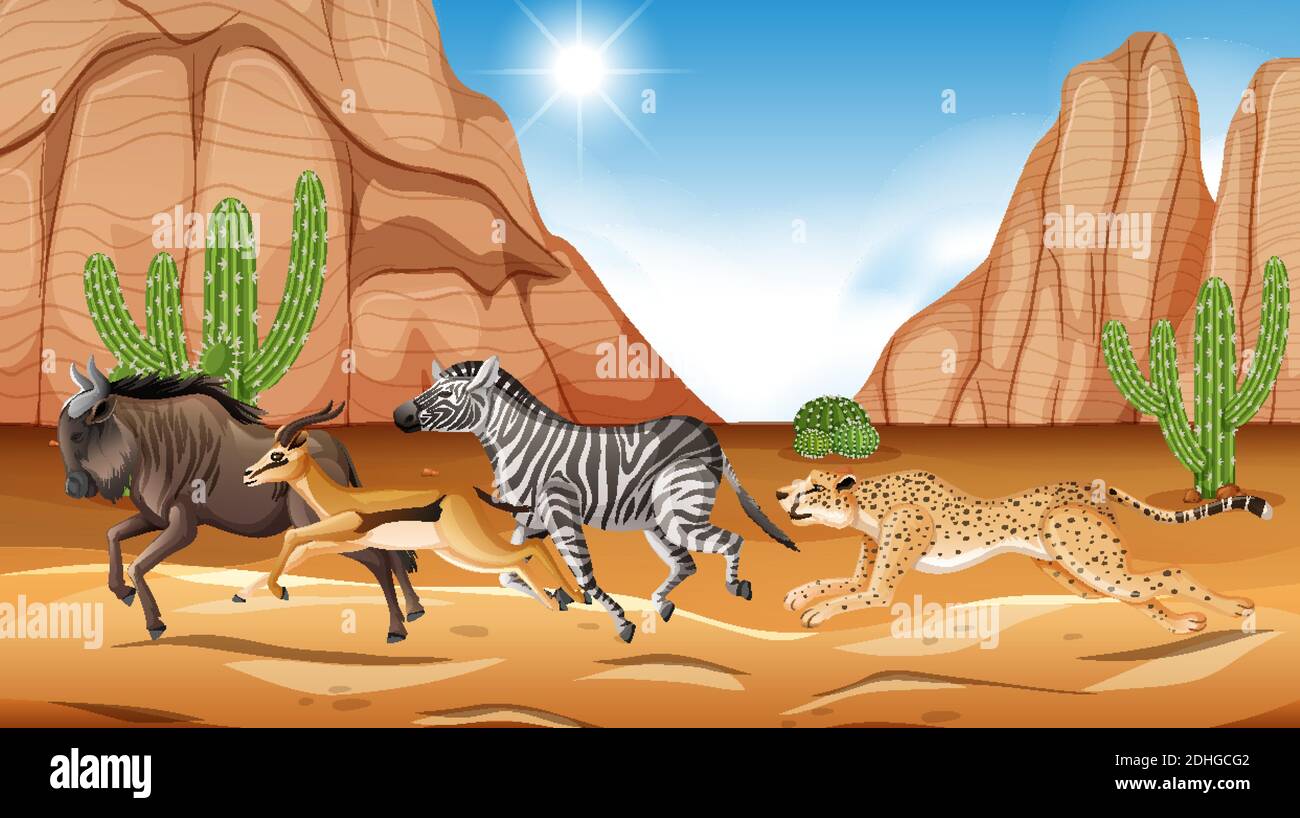 Wild animal running Savanna illustration Stock Vector Image & Art - Alamy