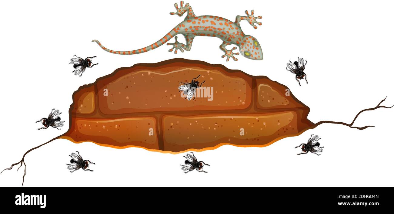 Flying brick cartoon Stock Vector Images - Alamy