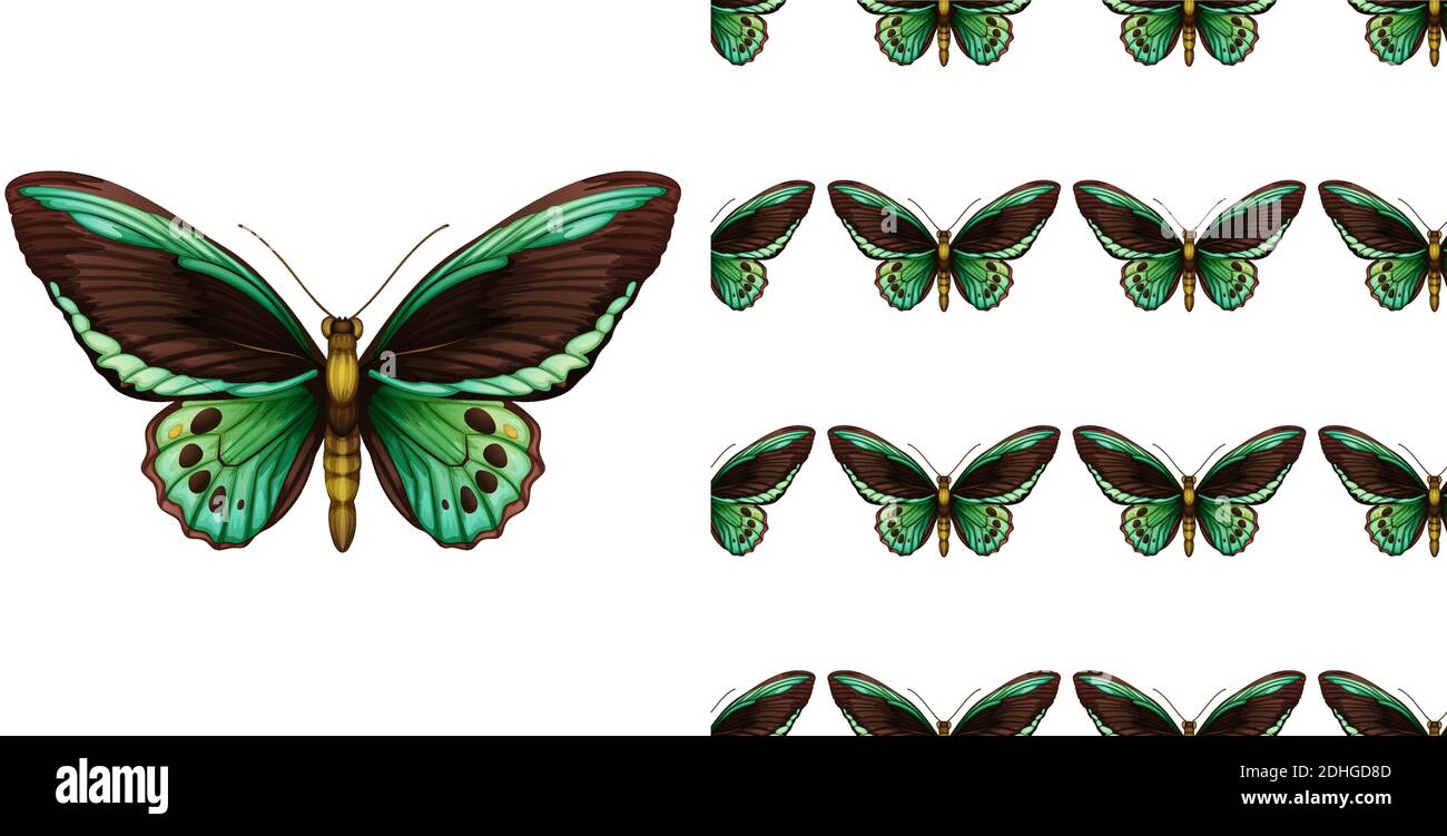 Green butterfly and seamless background illustration Stock Vector Image ...