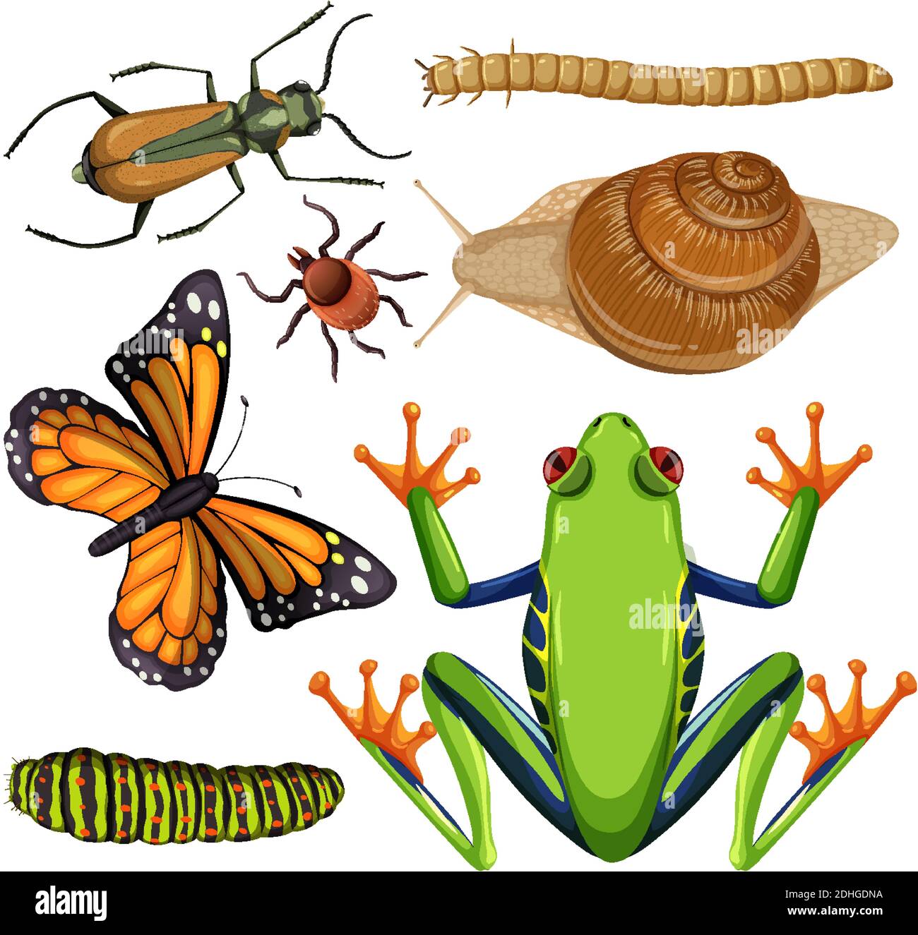 Set of different insects on white background illustration Stock Vector ...