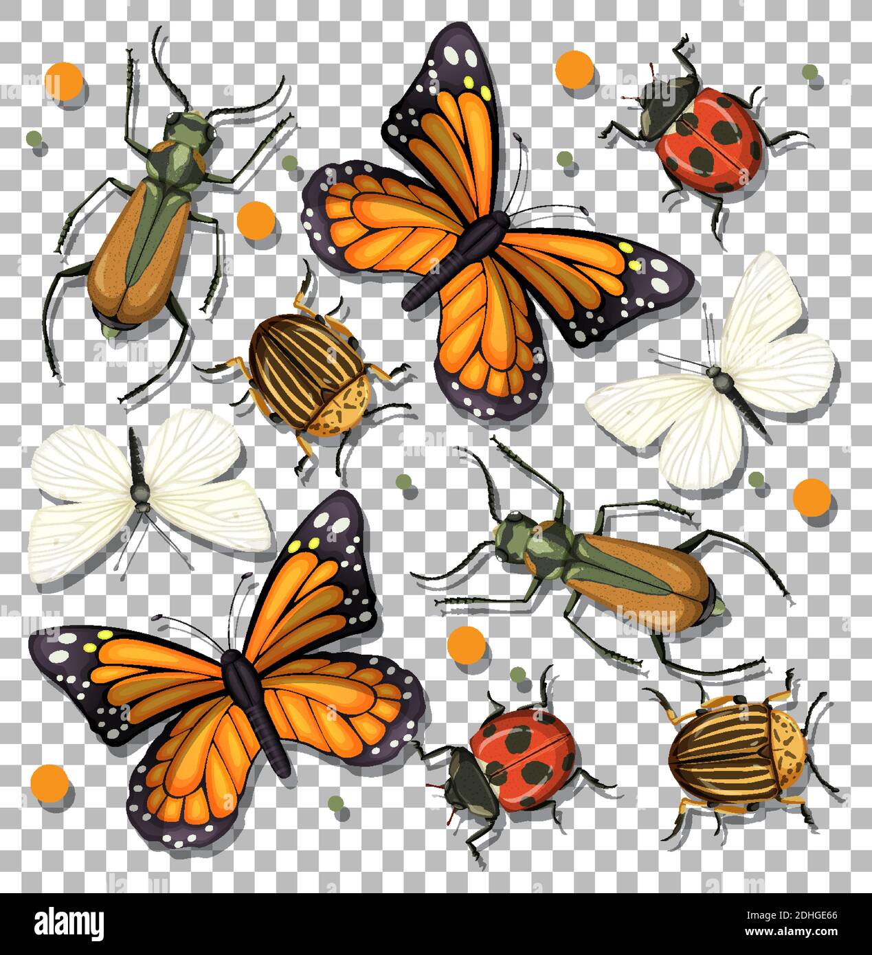 Set of different insects on transparent background illustration Stock ...