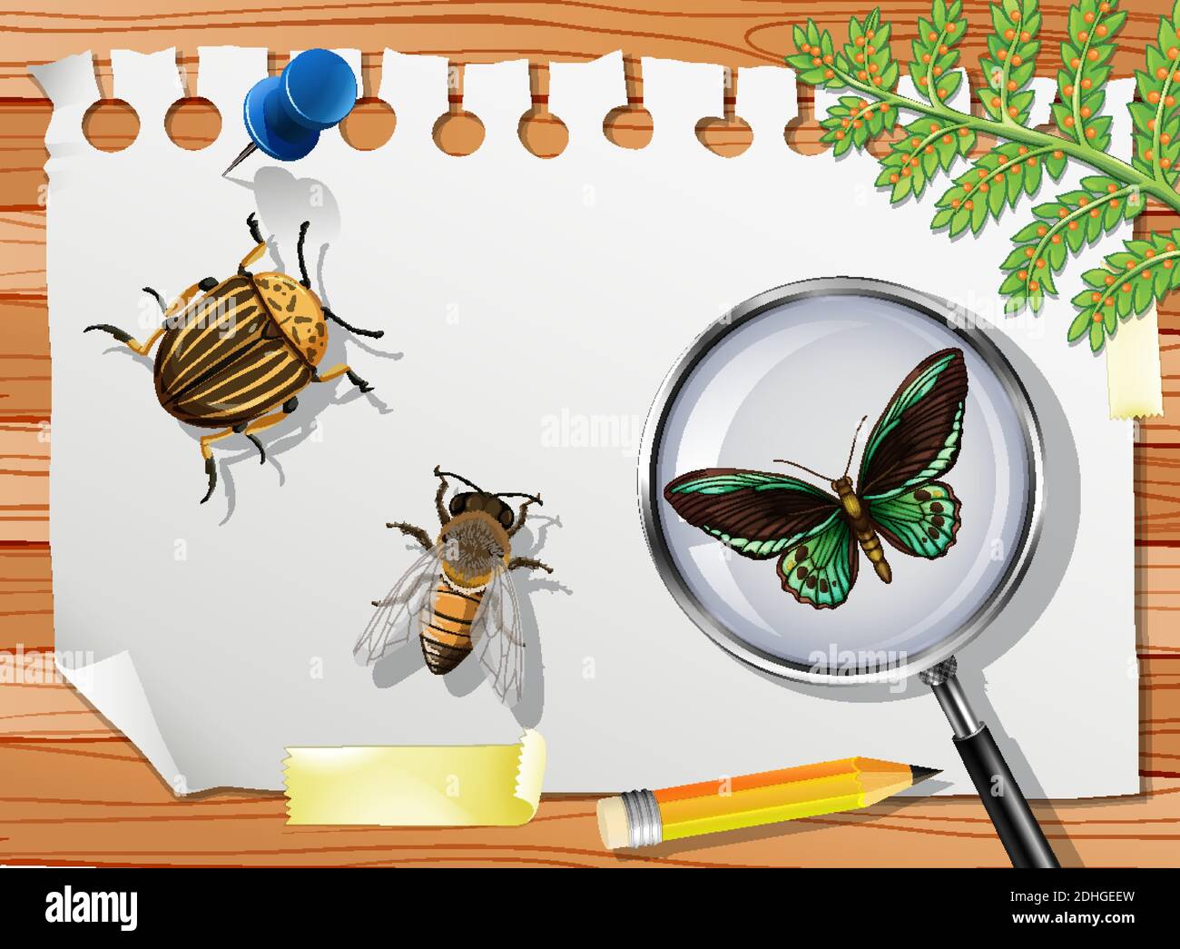 Educational paper on table Stock Vector Images - Alamy