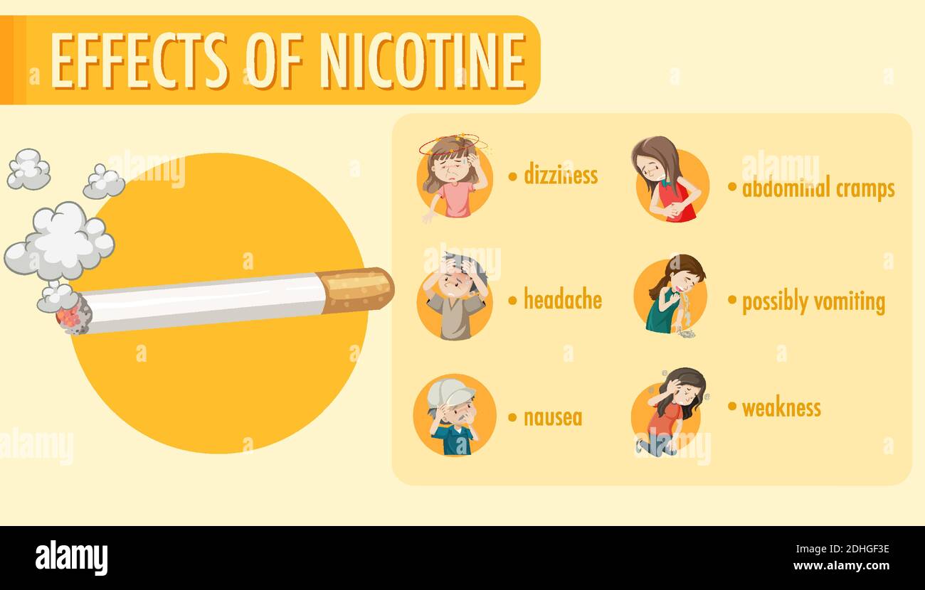 Effects of nicotine information infographic illustration Stock Vector ...