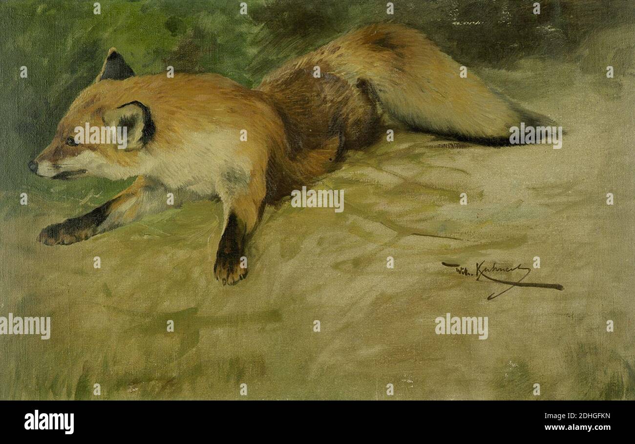 Kuhnert Liegender Fuchs Stock Photo - Alamy