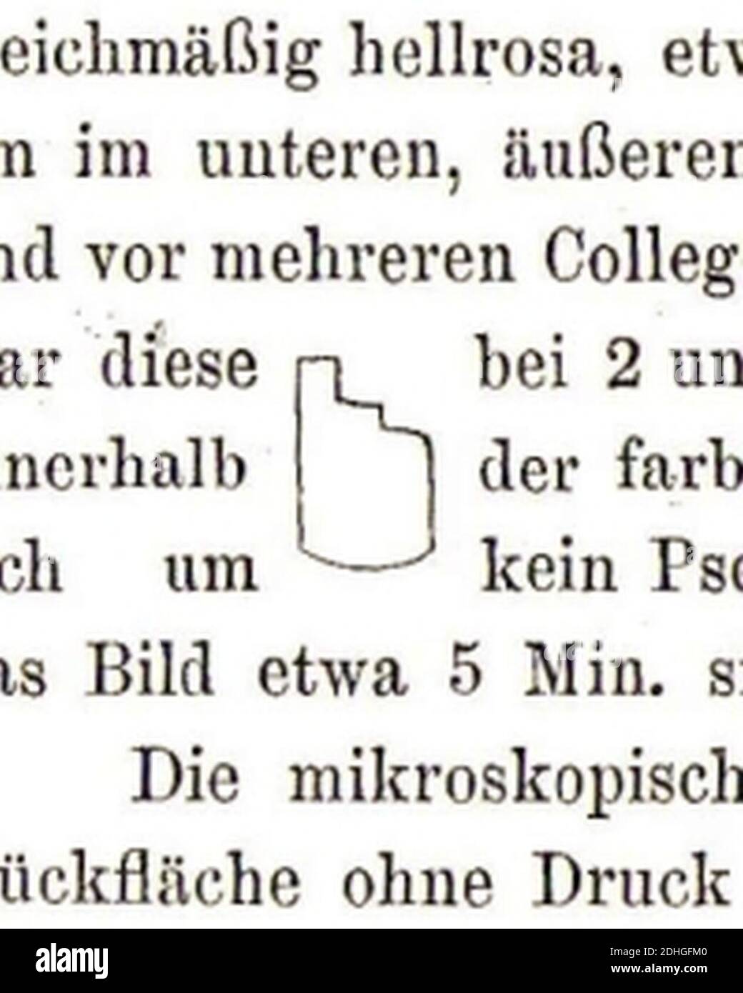 Kuhne Reif human optogram drawing Stock Photo - Alamy