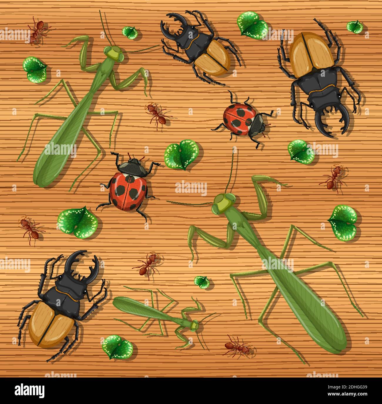 Set of different insects on wooden wallpaper background illustration ...